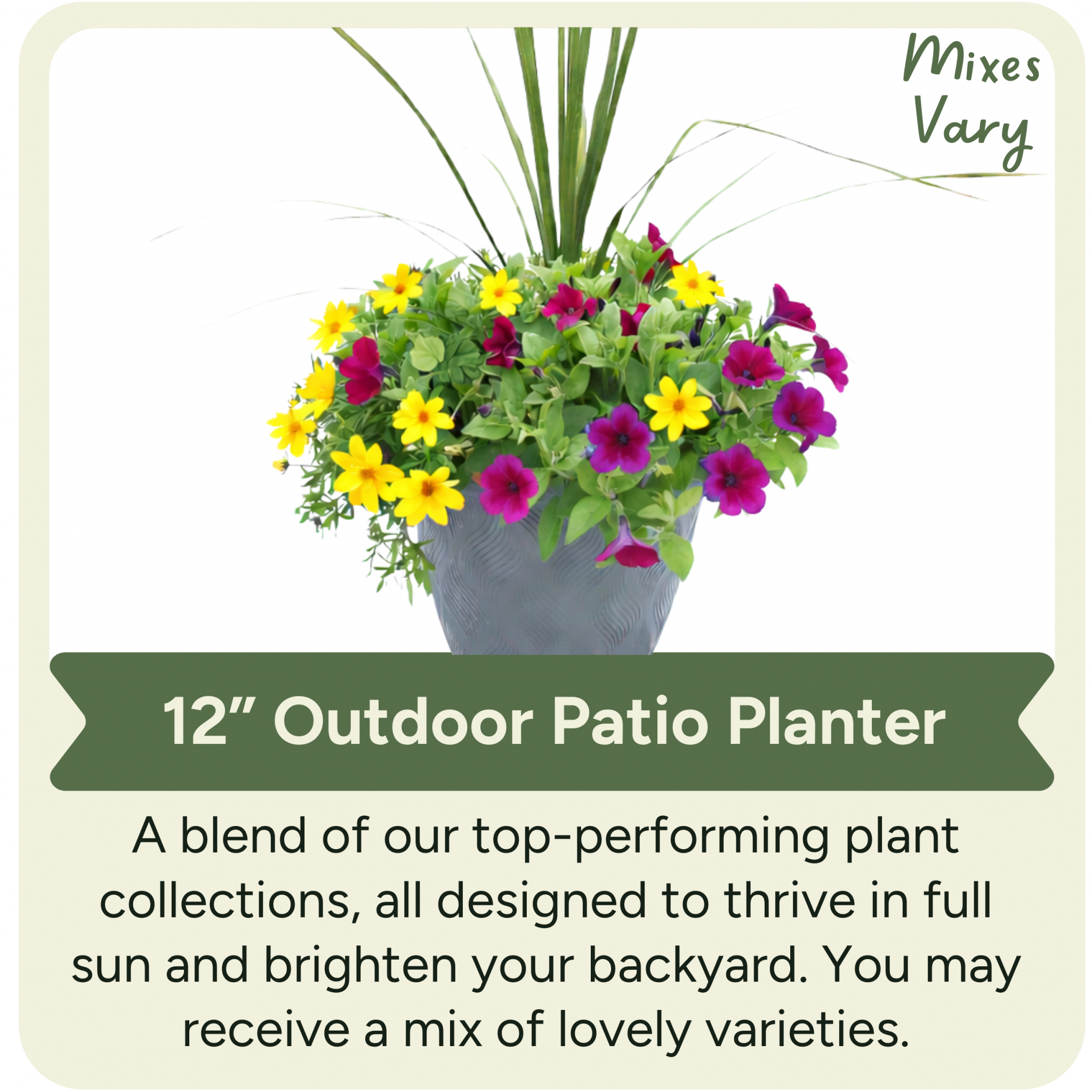 Our Plants – Growing Smiles Fundraising