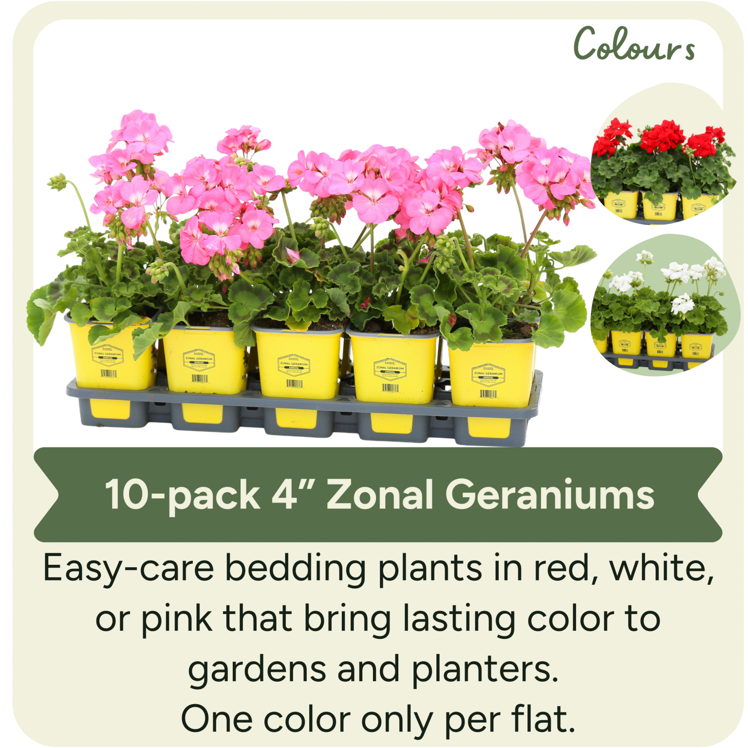 Our Plants – Growing Smiles Fundraising